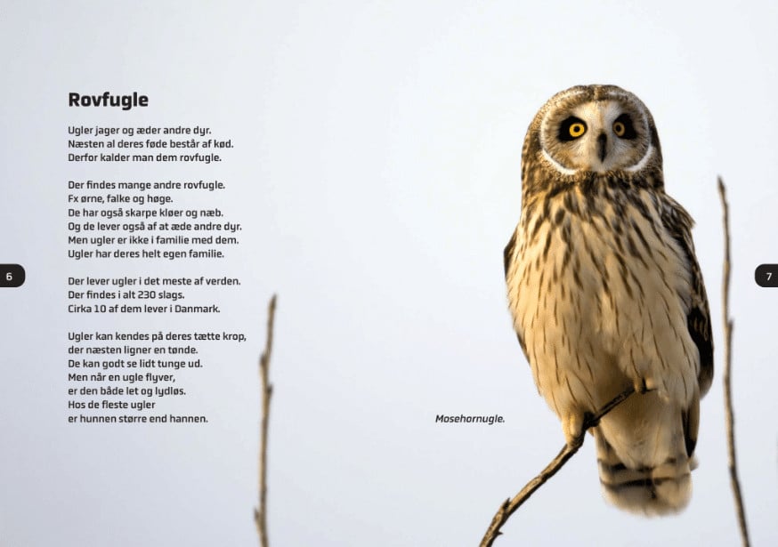 Ugler af Henrik Enemark | Køb for 200 kr.